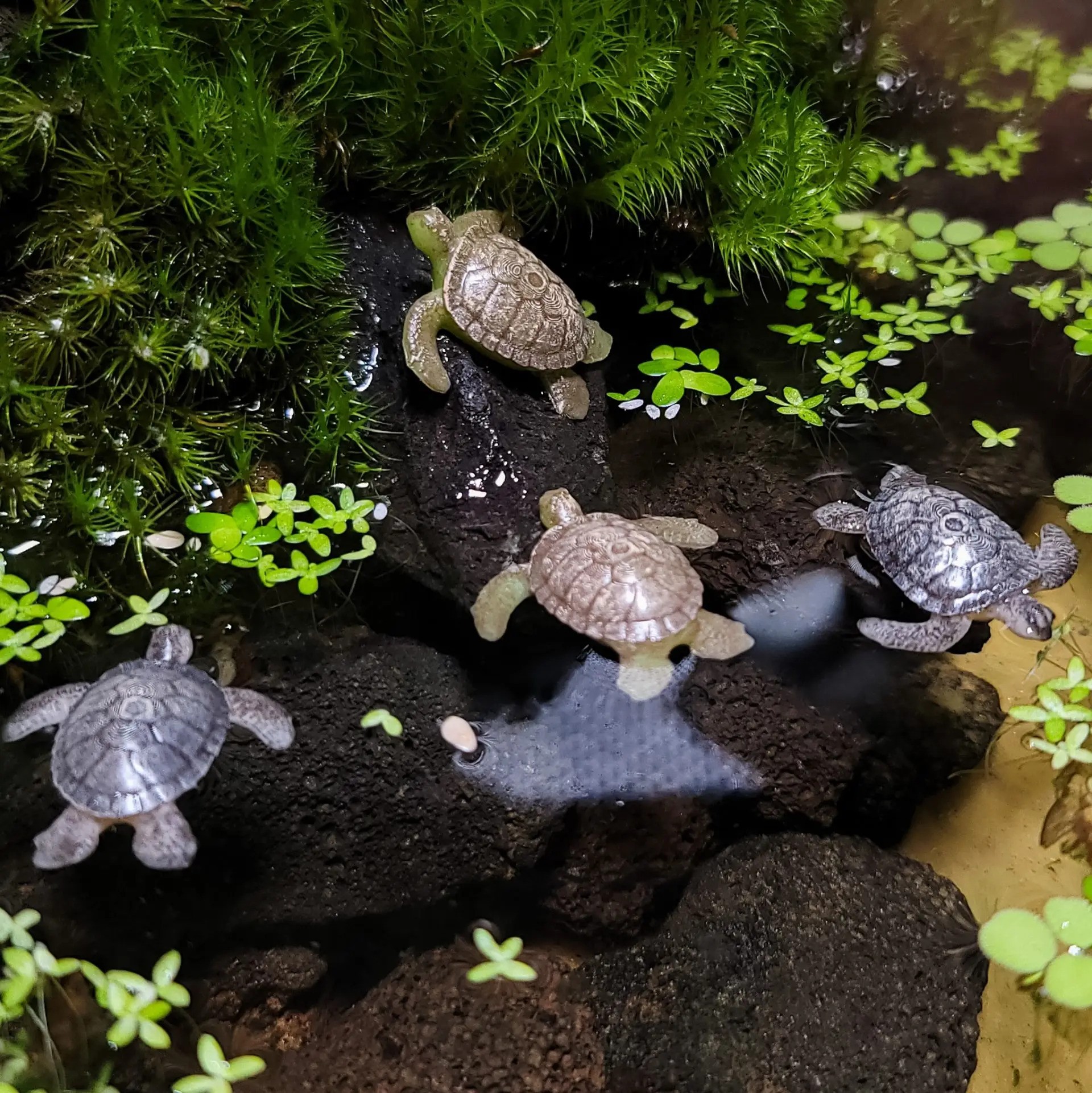 3D Print STL: Sea Turtle Floater Resin Aquarium Decor