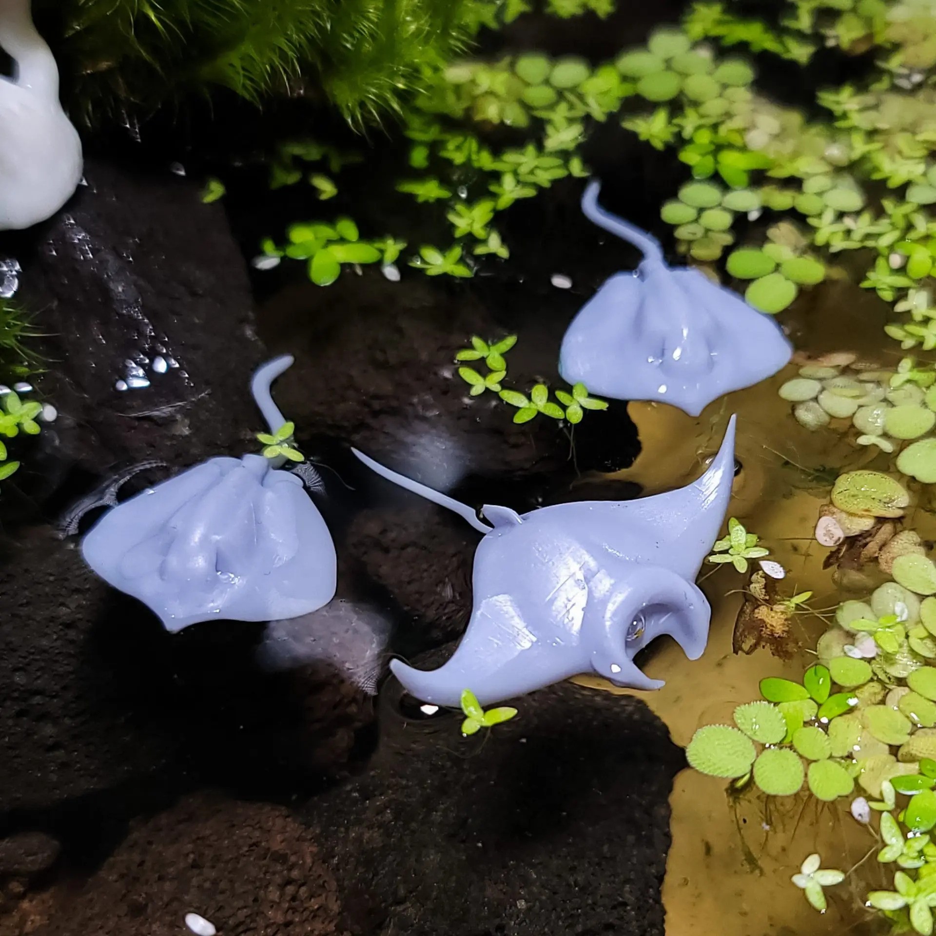 3D Print STL: Stingray Floater Pack Aquarium Decoration